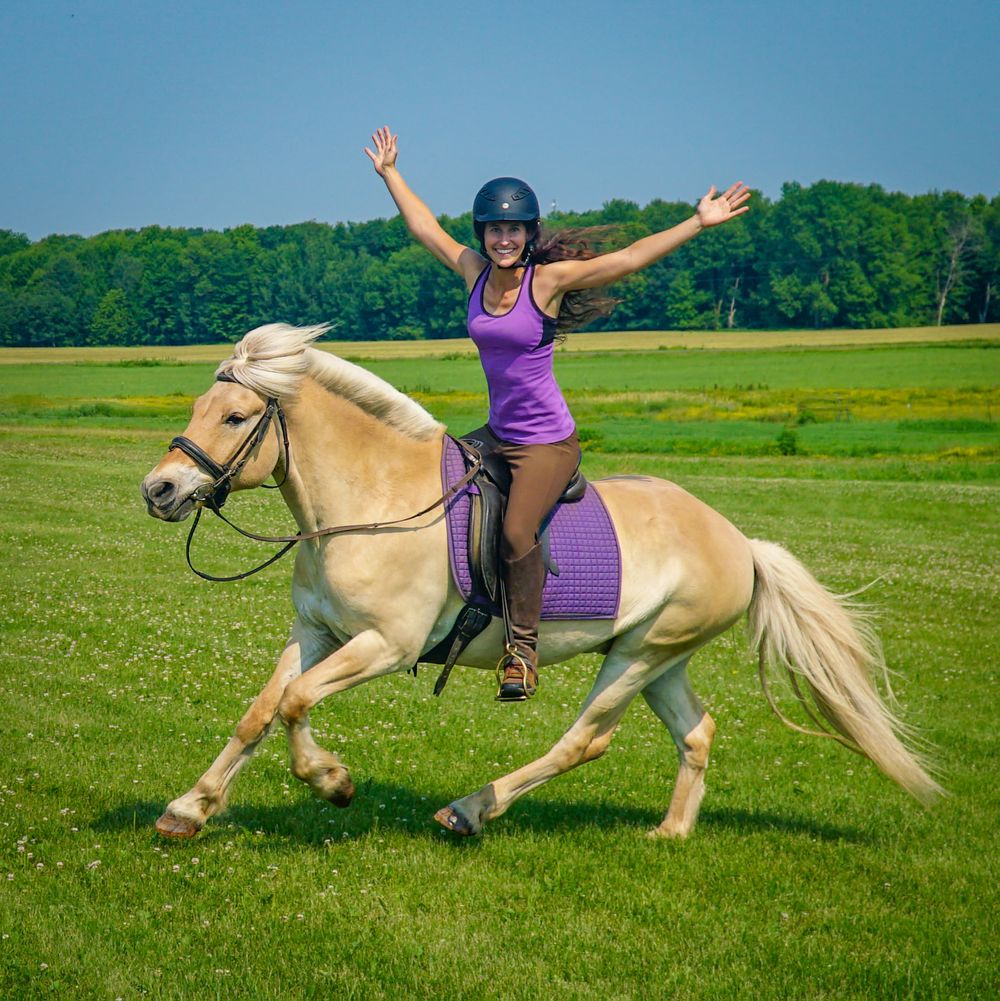 On a Quest to Ride Every Horse Breed! - DiscoverTheHorse