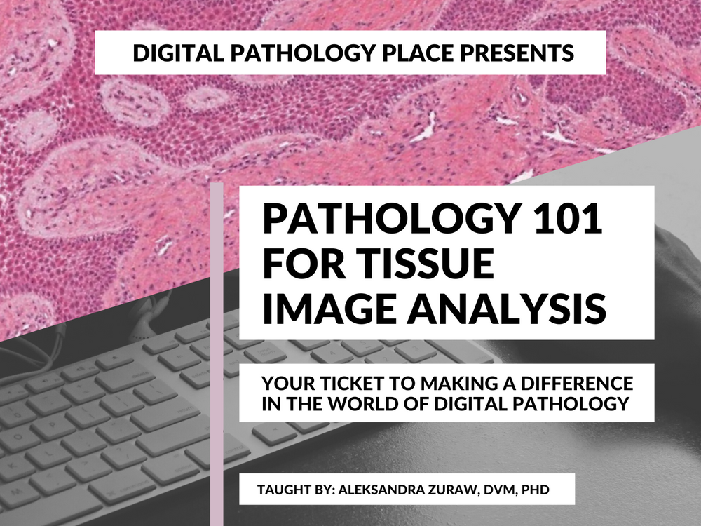 Bridging Pathology and Computer Science - Aleksandra Zuraw