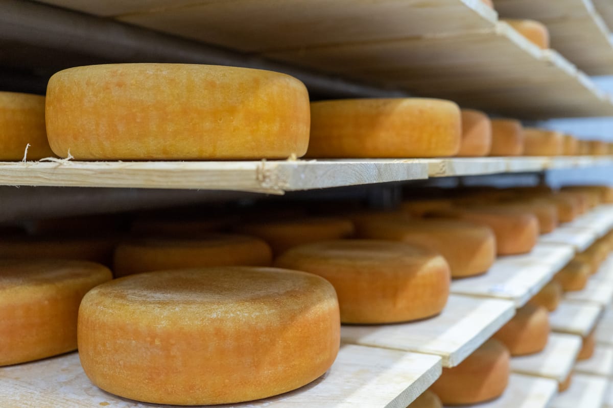 Swiss Tradition Locally Produced - Stonetown Artisan Cheese