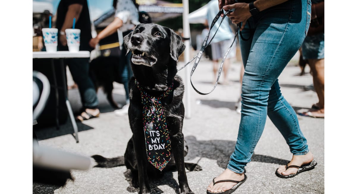 Dog-friendly Craft Brewery - Black Lab Brewing