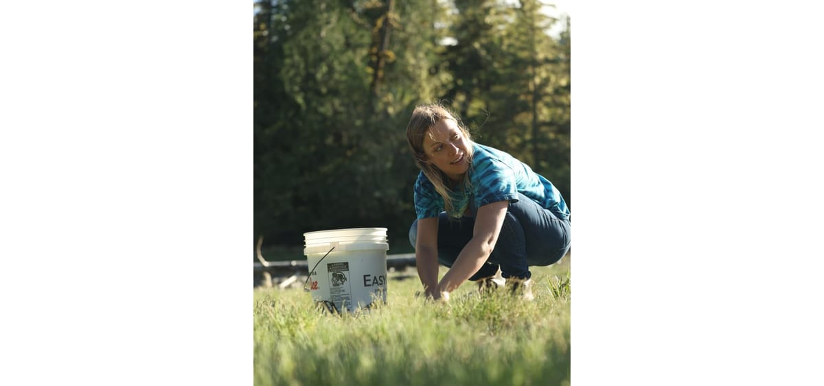 Delicious Treats for Your Kitchen! - Chelsea Goucher