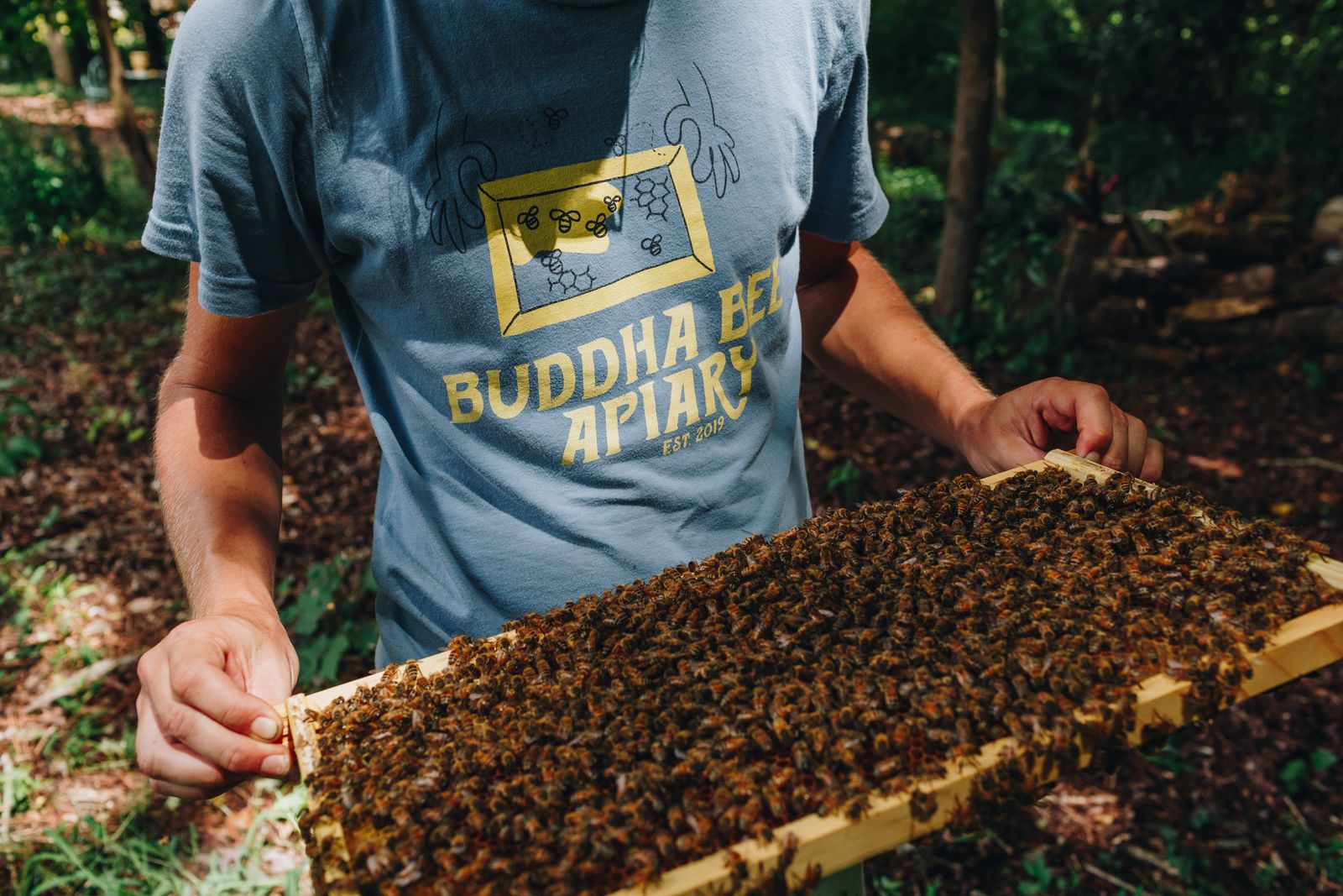 Fall in Love With Honeybees - Buddha Bee Apiary