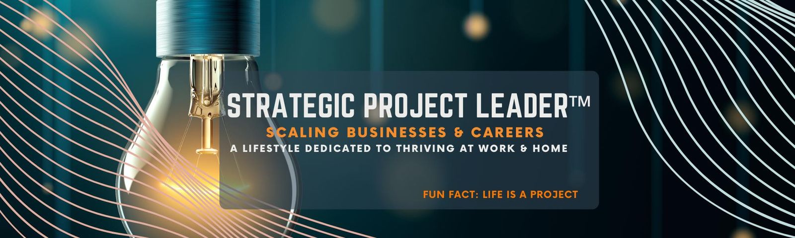 Strategic Project Leader - Fola Alabi